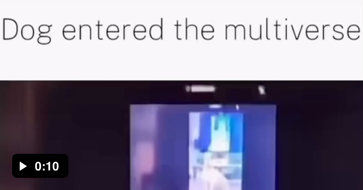 Dog: "So this is what multiverse of madness feels like!?" - 9GAG