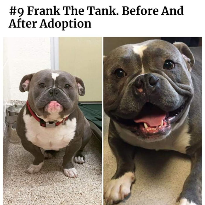 Happy Frank - 9GAG