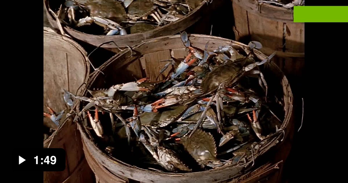 Gary - The Corner - HBO - 9GAG