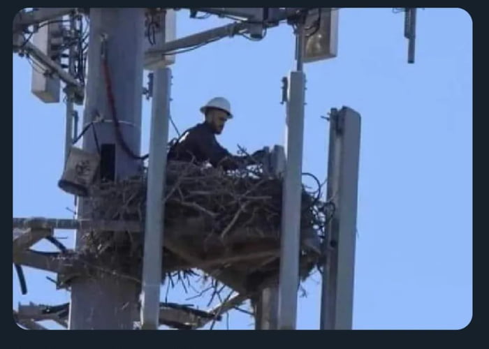 The birth of an electrical engineer. - 9GAG