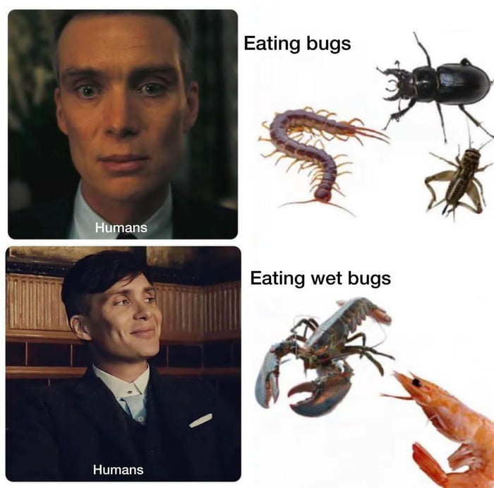 You guys don't like eating bugs? - 9GAG