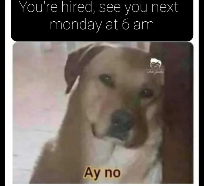 Working from a different time zone. - 9GAG