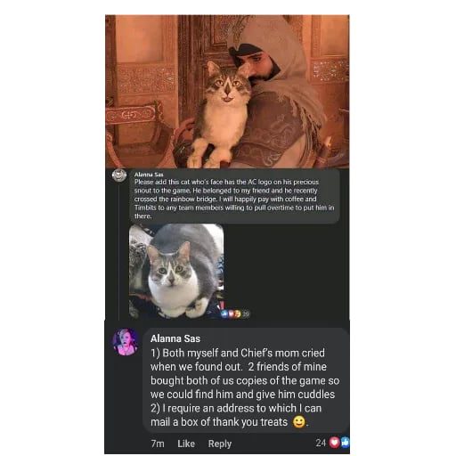 Update on the cat from Assassin's Creed, from Ubisoft's Facebook page ...