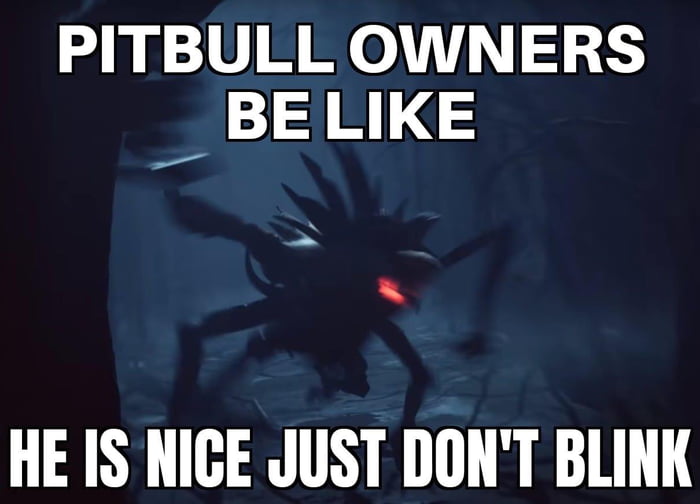 Just don’t move bro - 9GAG