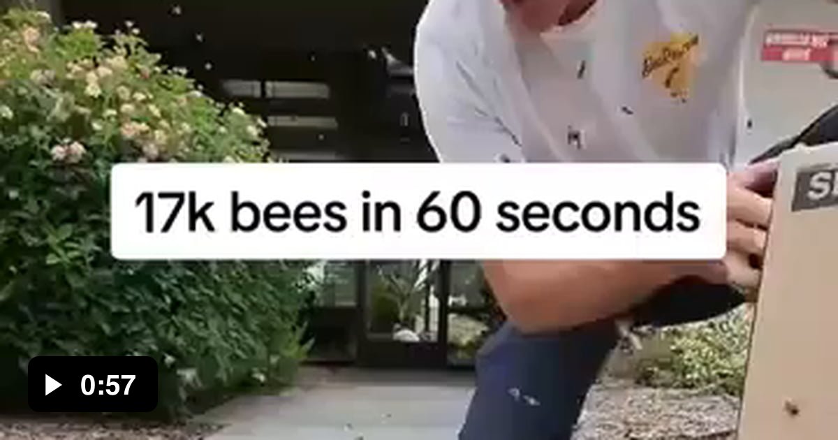 17,000 Bees - 9GAG