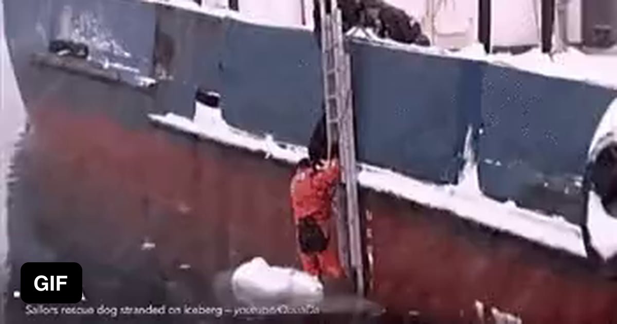 Old, dusty gif from the depths of my archive - 9GAG