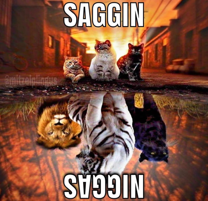 1st One 9gag