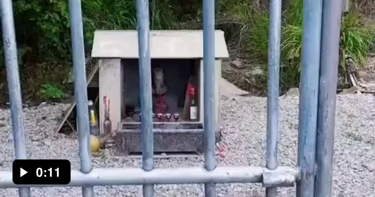 Cat god waiting for tributes - 9GAG