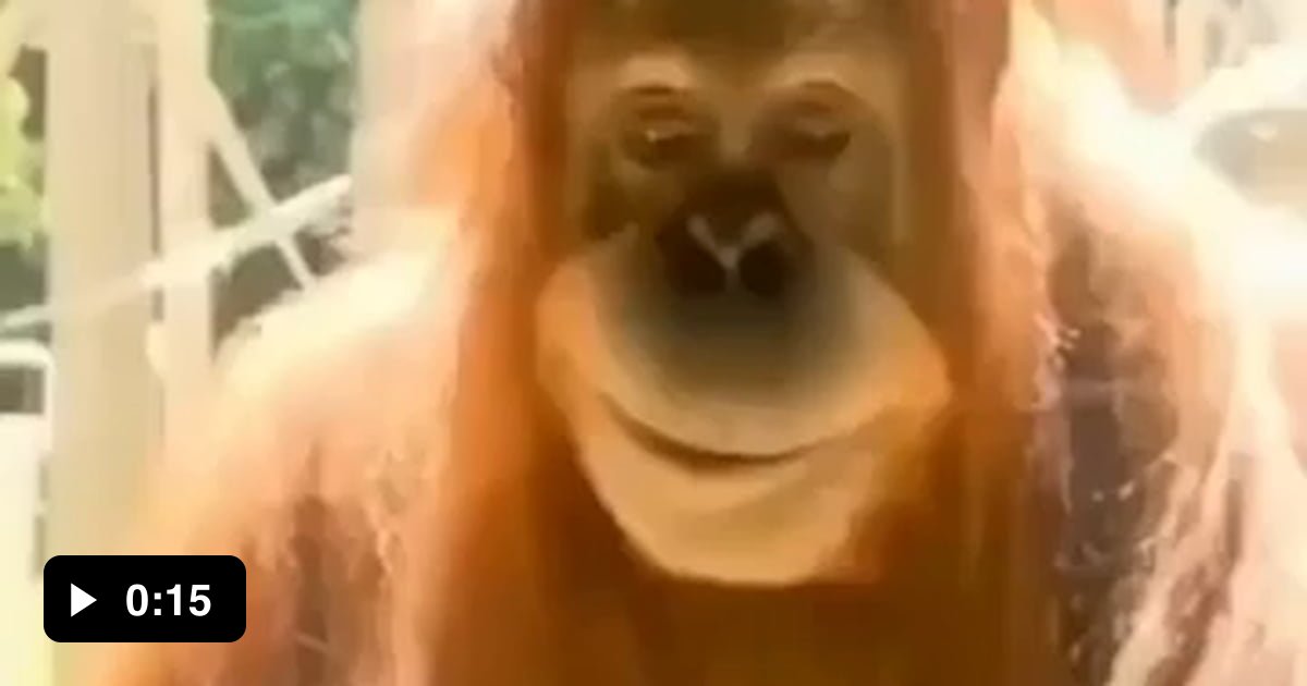 He is plotting something - 9GAG