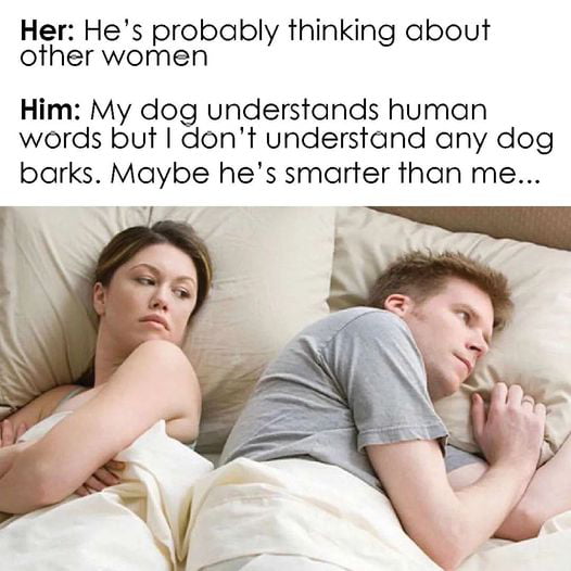 Hmm, maybe dogs are smarter - 9GAG