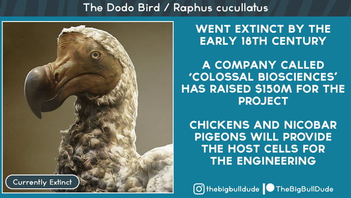 One of the most iconic extinct animals might return sooner than we ...