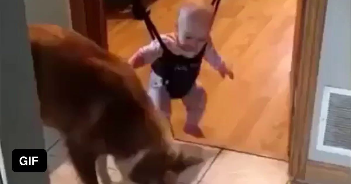 Baby hooman repeat after me. - 9GAG