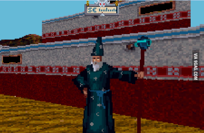 Potentially the most "Wizard" wizard I've seen in a game. - TES Arena ...
