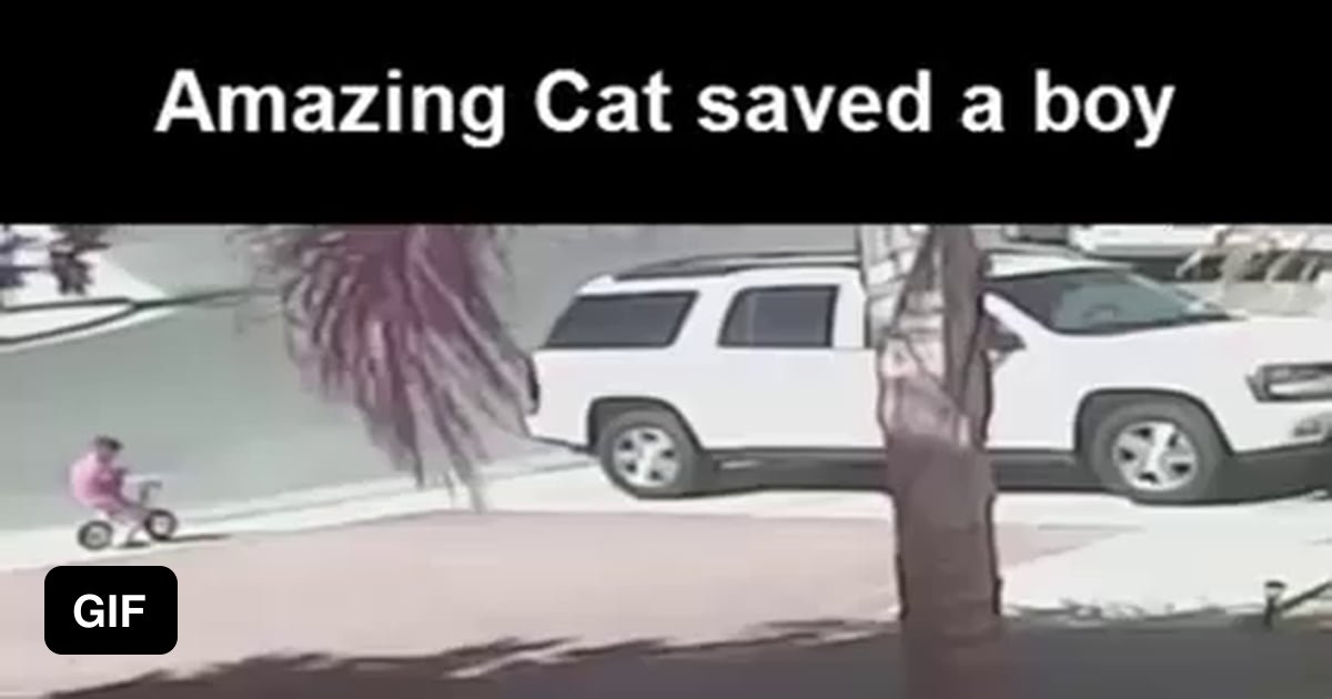 Tududududududududu CATMAN!! - 9GAG