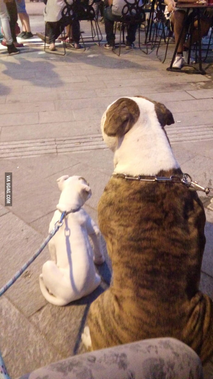 Father And Son 9gag