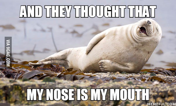 Foolish peasants. - 9GAG