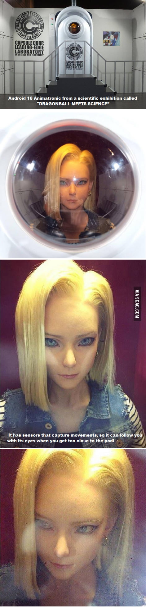 Awesome Android 18 Animatronic - 9GAG
