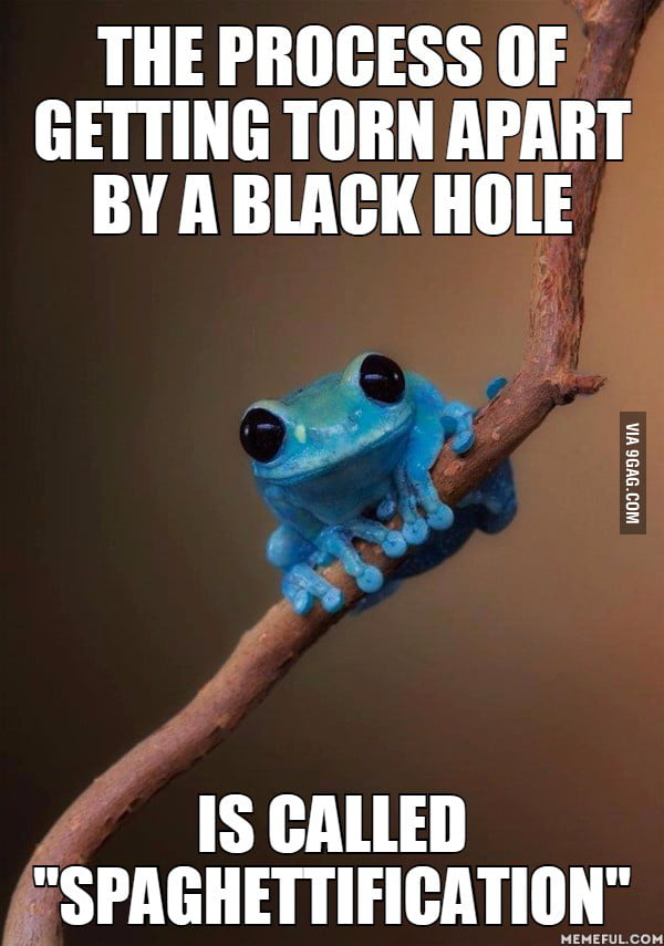 The noodle effect - 9GAG