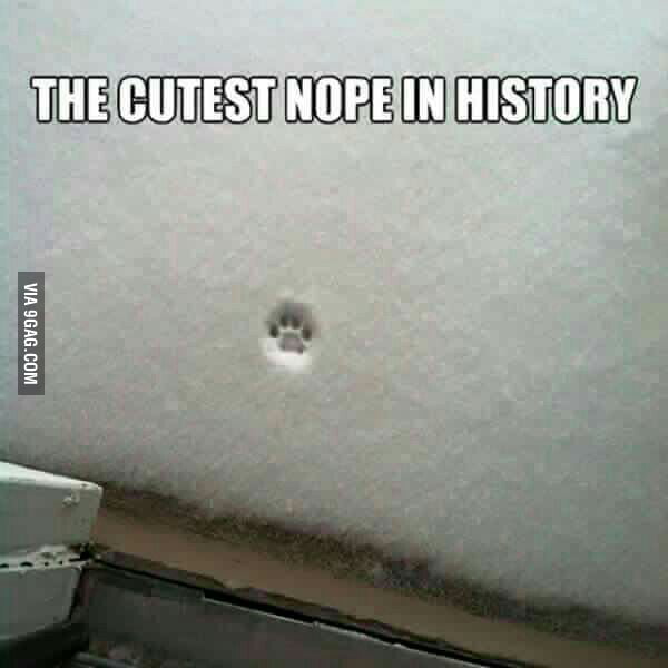 Nope nope nope - 9GAG