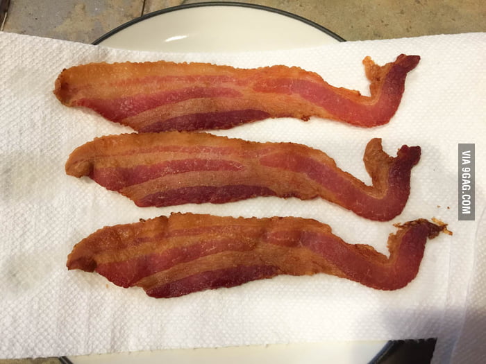 Whale bacon - 9GAG