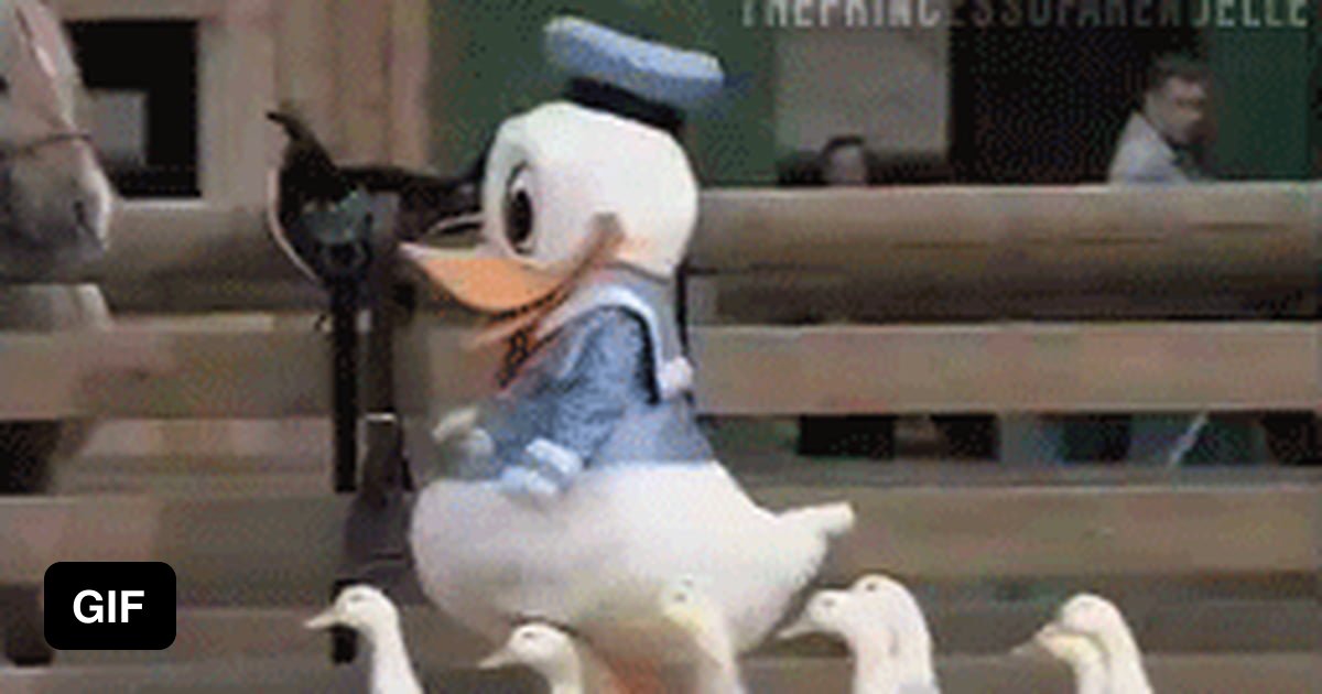 Watch out people! he's making an army. - 9GAG