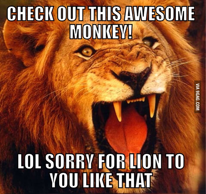 Safari puns - 9GAG
