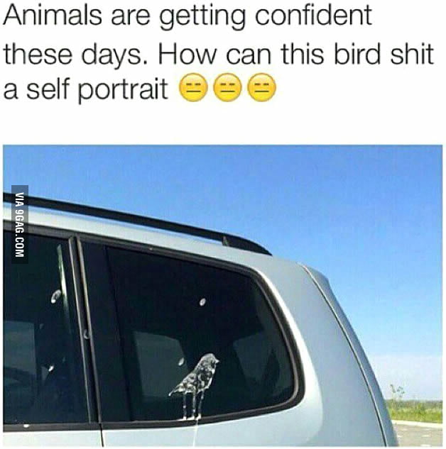 F**king Picasso! - 9GAG