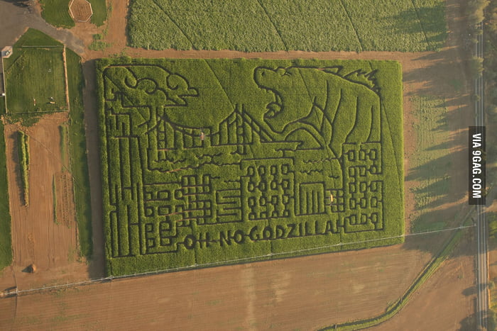 Amazing Corn Maze - 9GAG