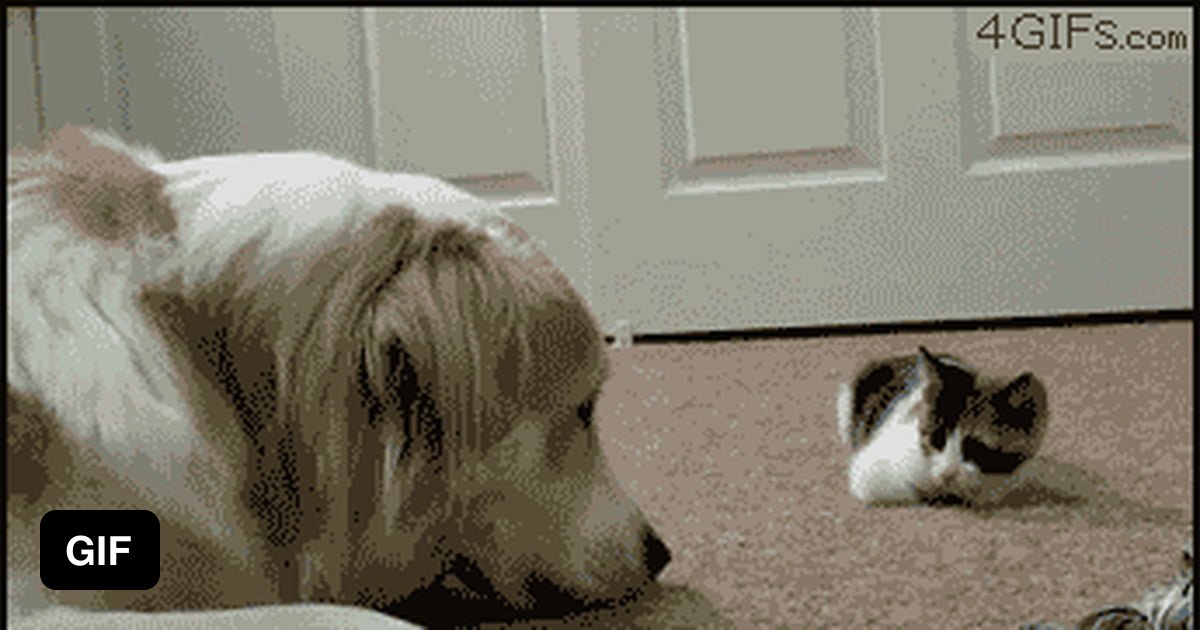 *BOOP!* You're It! - 9GAG