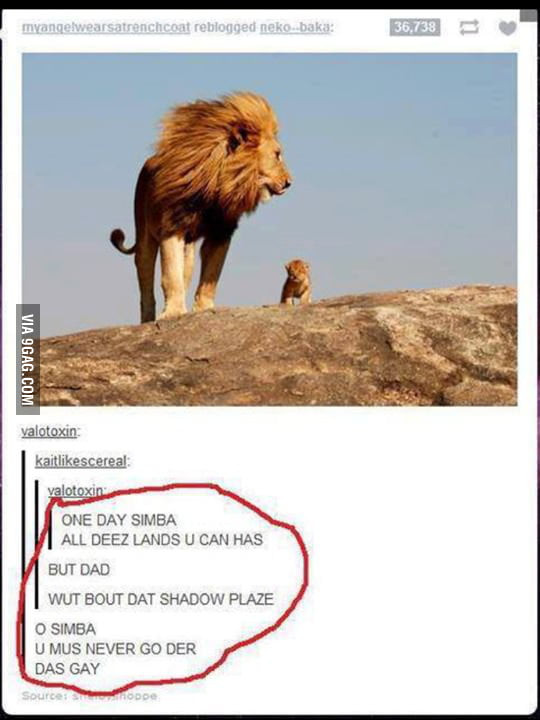 You must never go there Simba - 9GAG