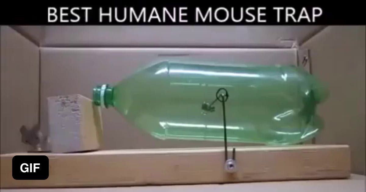Mouse Trap! - 9GAG