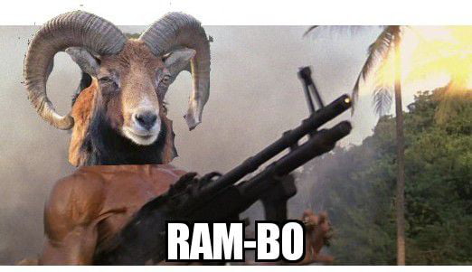 Enough of doggo..let the Rambo memes come - 9GAG