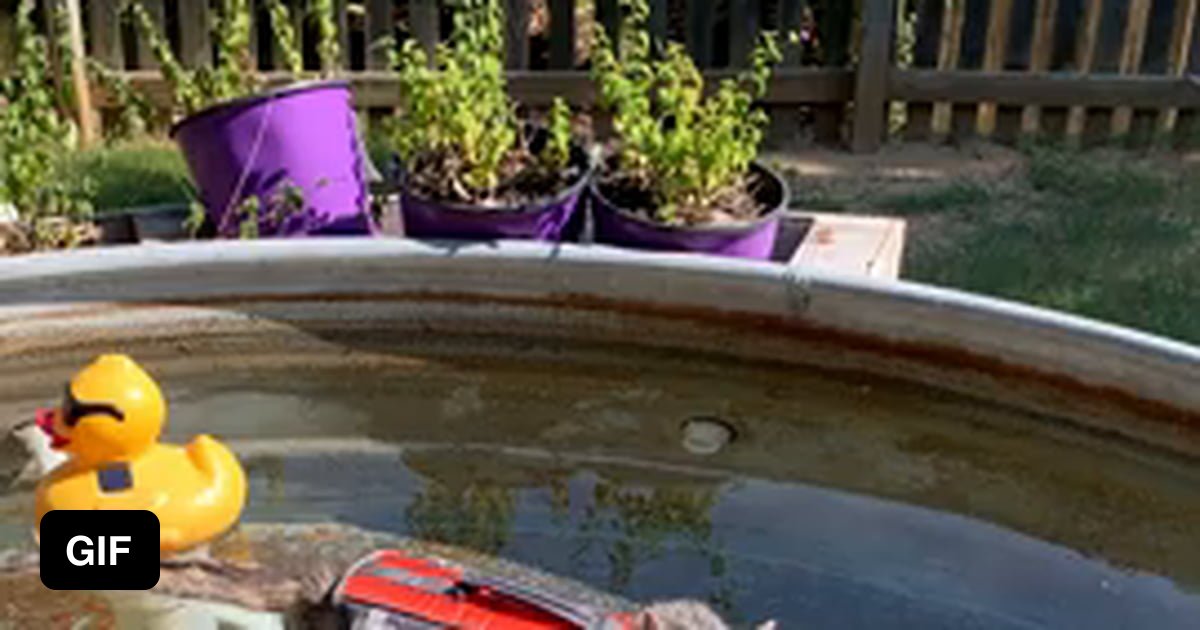 I’ll just float. - 9GAG