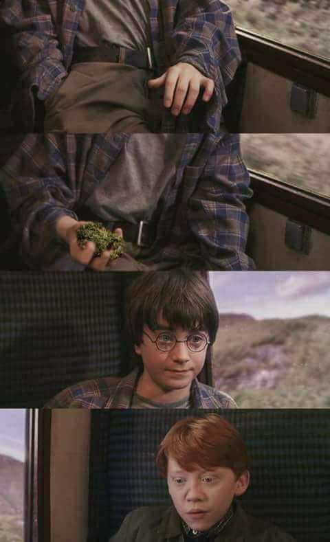 Deleted scene from first HP movie - 9GAG