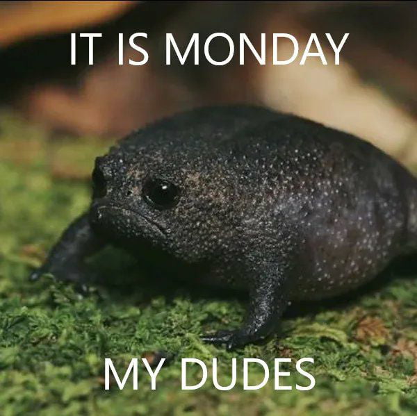 Happy monday - 9GAG