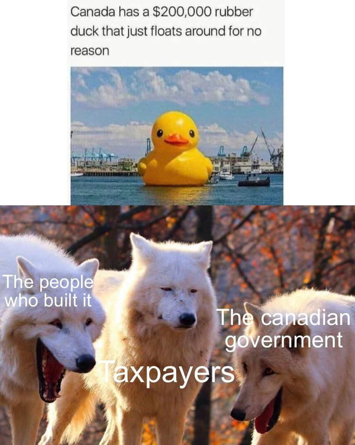 I'm gonna duck you up - 9GAG