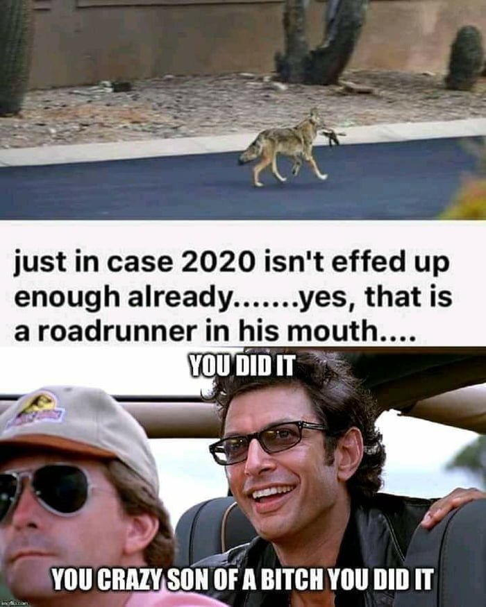 *Sad meep meep* - 9GAG