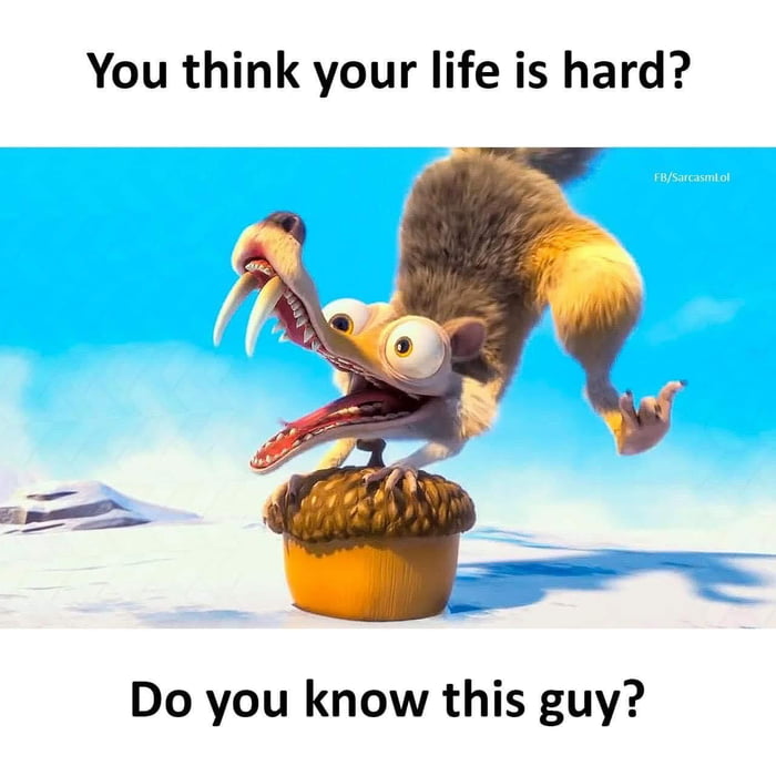 Akona matatata - 9GAG