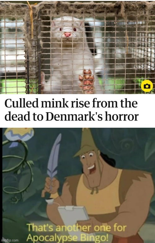 Who had zombie mink for their apocalypse bingo? - 9GAG