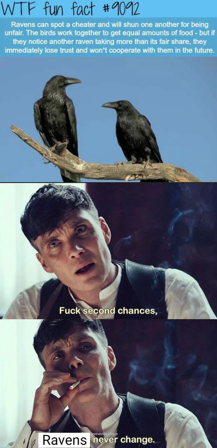 So damn smart - 9GAG