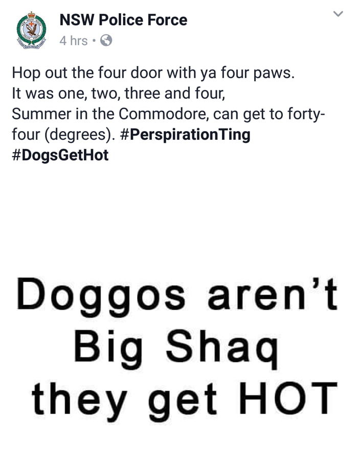 Take dog's Twix by force - 9GAG