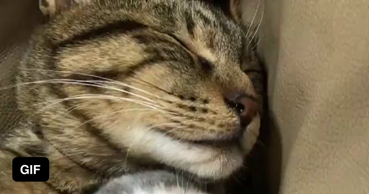 Sleep With Mommy 9gag