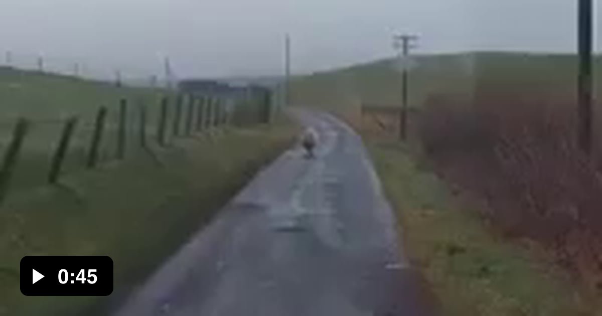 Angry Scottish Man - 9GAG