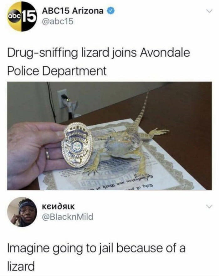 Chronic Lizard Cop - 9GAG