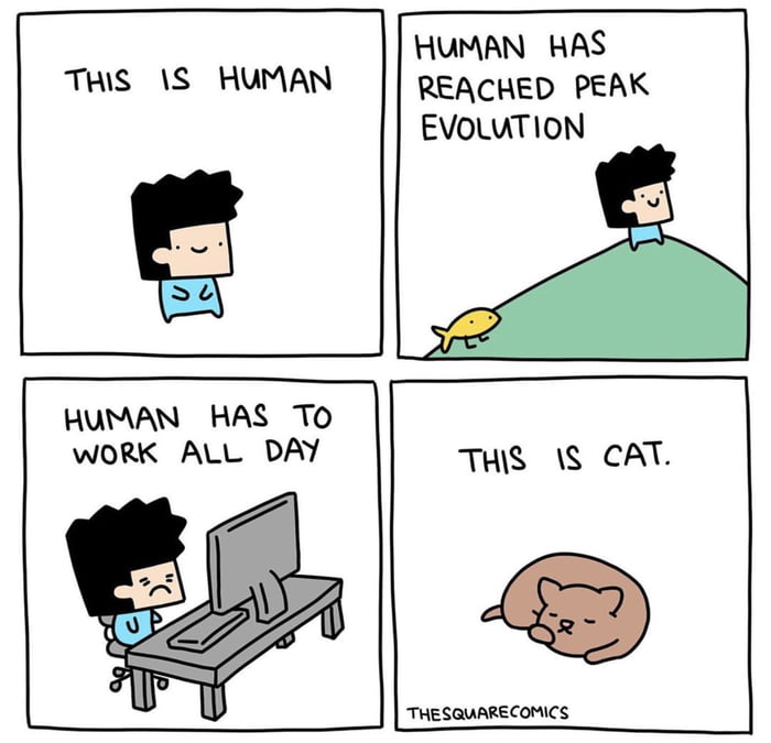 Do the evolution - 9GAG