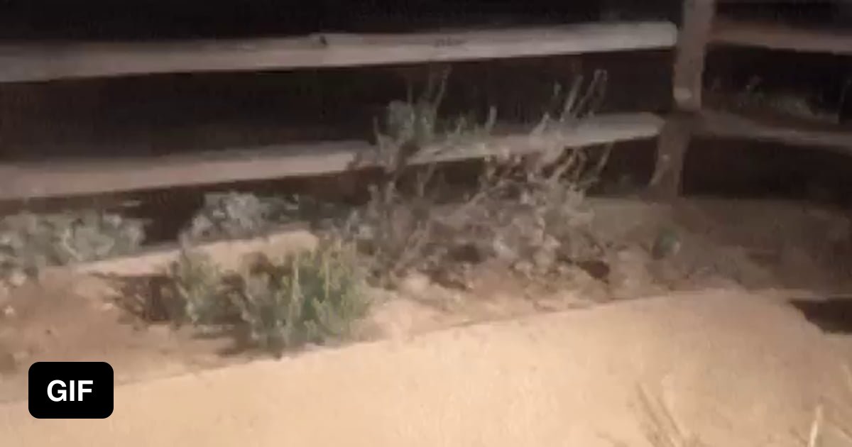 Strike the pose - 9GAG