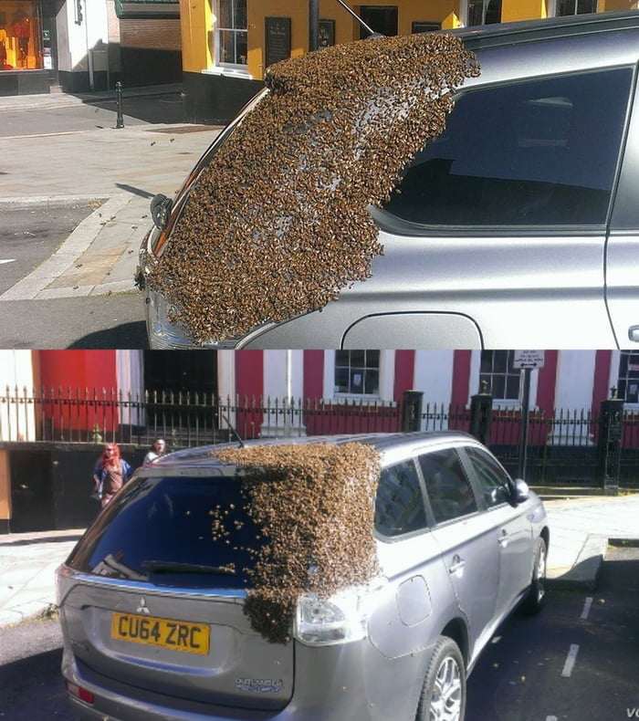 About 20,000 bees were following this car for 2 days because their queen was trapped inside. - 9GAG