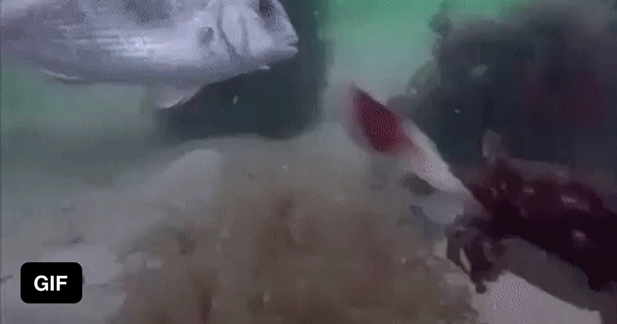 Yum Yum 9gag