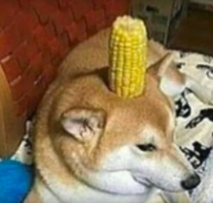 Daily cursed images / day #7 - 9GAG