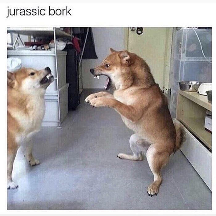 ViCiOuS dInOsAuR dOgGo bRuTaLly AtTaCkS gOoD bOi - 9GAG